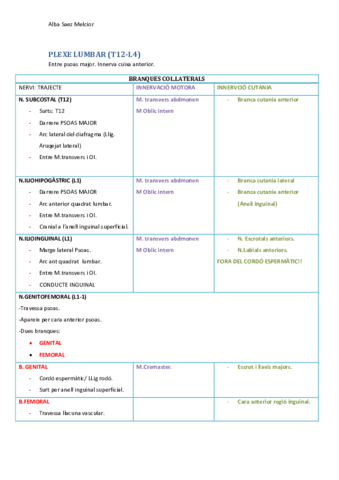 PLEXE-LUMBAR.pdf