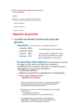 TEORÍA - MALDIGESTIÓN Y MALABSORCIÓN (1).pdf