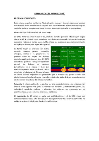 Esquema_tema_12.pdf