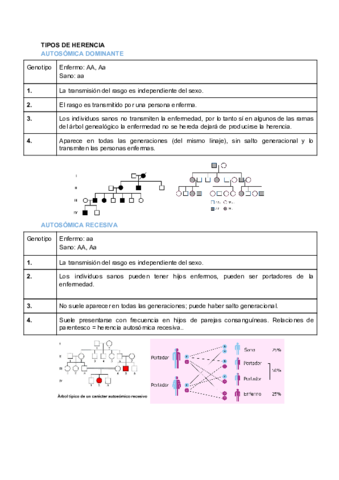 RESUMEN-TIPOS-DE-HERENCIA.pdf