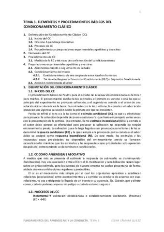 TEMA3FAC.pdf