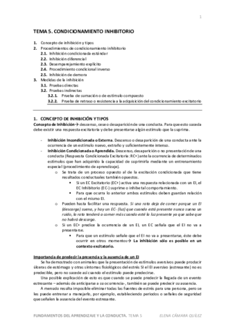 TEMA5FAC.pdf