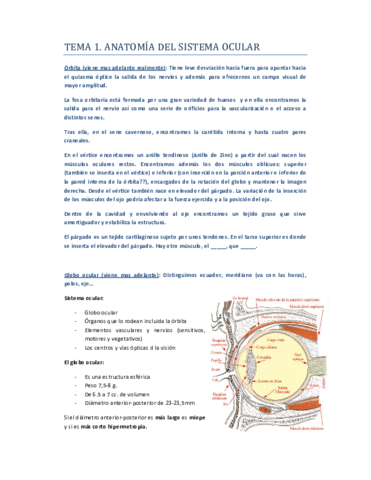 Tema 2. Anatomía del Ojo.pdf