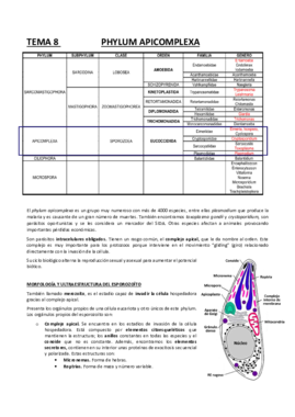 TEMA 8 PHYLUM APICOMPLEXA.pdf