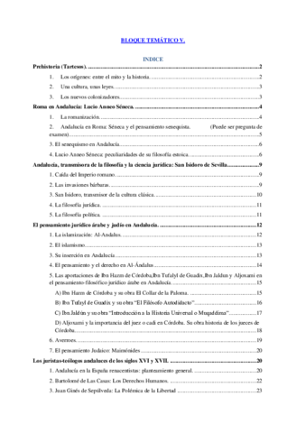 BLOQUE TEMÁTICO V.pdf