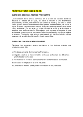 PRÁCTICA TEMA 1 SCIE (13-14).pdf