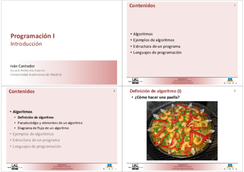 prog1-01-Introduccion.pdf