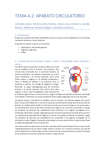 TEMA-4.pdf