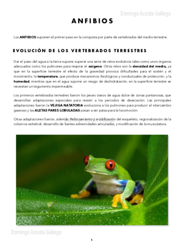 Anfibios.pdf