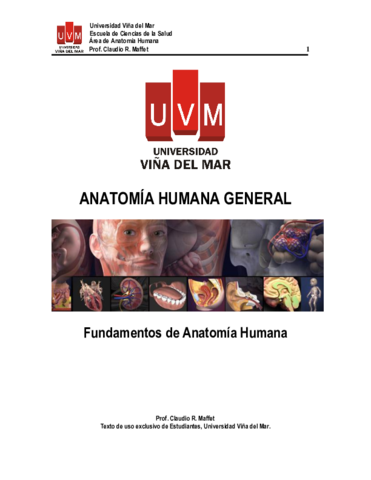 ANATOMIA HUMANA-CONCEPTOS GENERALES.pdf