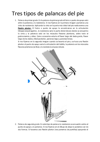 Apuntes de Función del Cuerpo Humano I