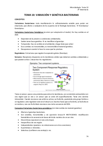 TEMA-10-micro.pdf