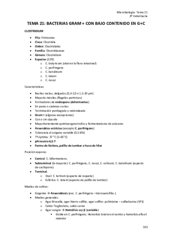 TEMA-21-micro.pdf
