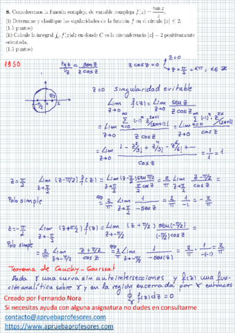 11-Integrales-complejas.pdf