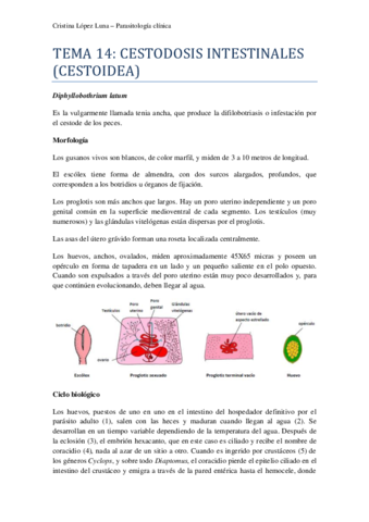 TEMA 14 PARA.pdf