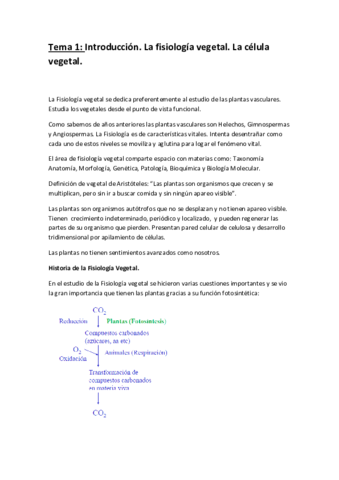 Tema 1 ANA.pdf