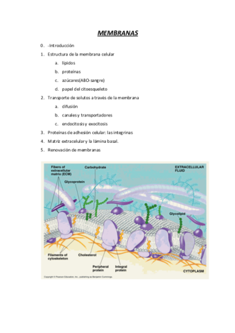 MEMBRANAS.pdf