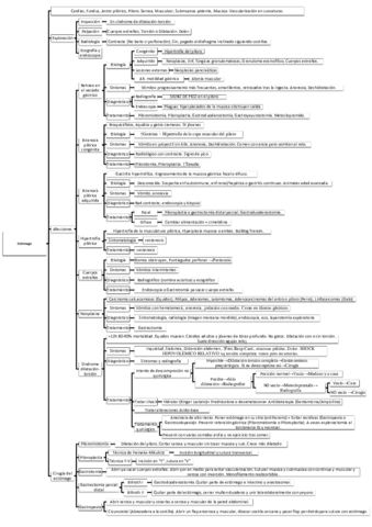 TEMA-18-Estomago.pdf