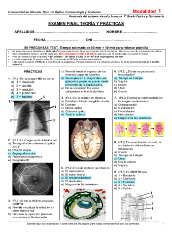 Esquema Tema 6 anatomía con dibujos.pdf