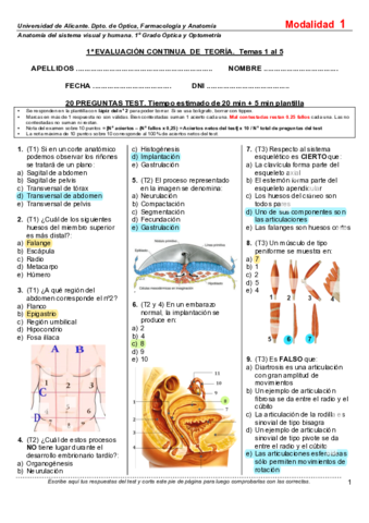 Esquema Tema 6 anatomía con dibujos.pdf