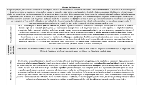 Division-Basidiomycota.pdf