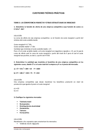 Cuestiones teorico practicas tema 5.pdf