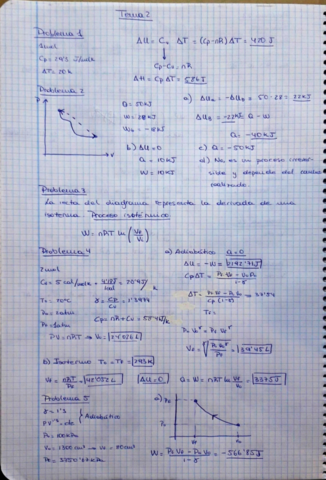 problema-tema-2-termo.pdf