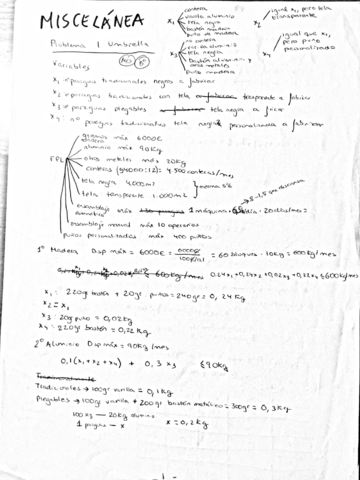 Problemas-Miscelanea-I-Resueltos.pdf