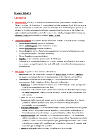 TEMA 8 algas.pdf