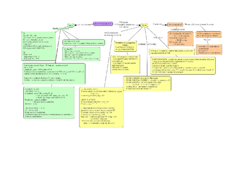 Esquema-Cmap-Tools-Segundo-parcial-.pdf