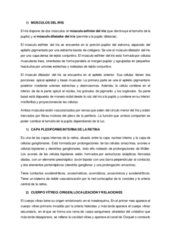 Preguntas-cortas-resueltas.pdf