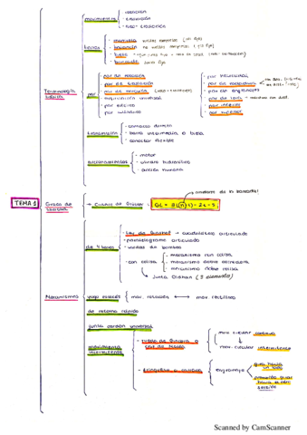 Esquemas-Temas-Teoria.pdf