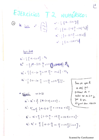 RESUELTOS-Ejercicios-Tema-2-Numerico-II.pdf