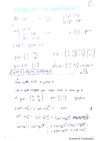 RESUELTOS-Ejercicios-Tema-4-Numerico-II.pdf