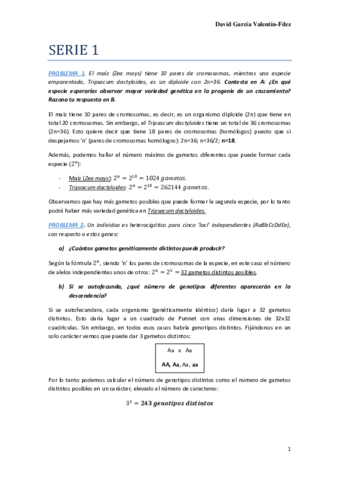 Serie1.pdf