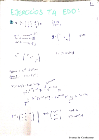 RESUELTOS-Ejercicios-T3-EDO.pdf