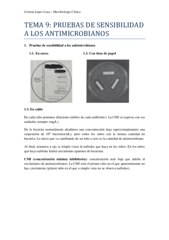 TEMA 9 MICRO.pdf