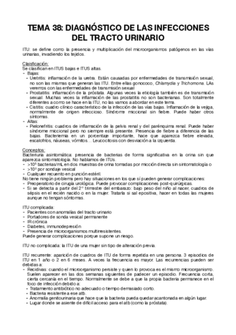 Ultimo-bloque-micro.pdf