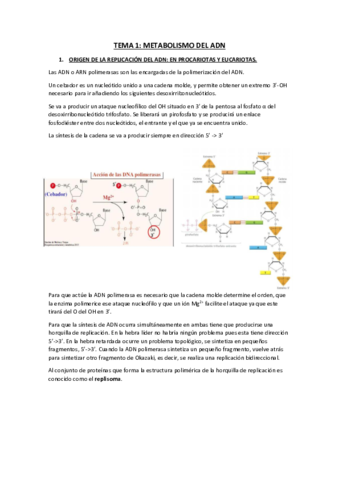 TEMA-1-METABOLISMO-DEL-ADN.pdf