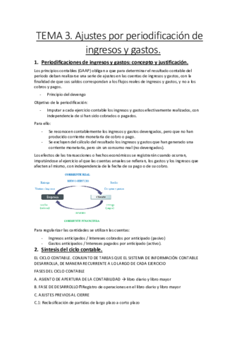 TEMA-3-conta.pdf