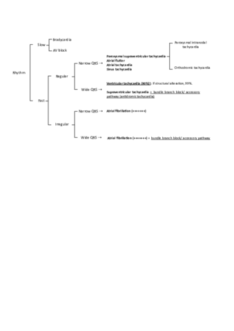 Esquema-arritmias.pdf