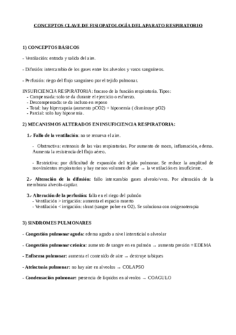 RESUMEN-AP.pdf