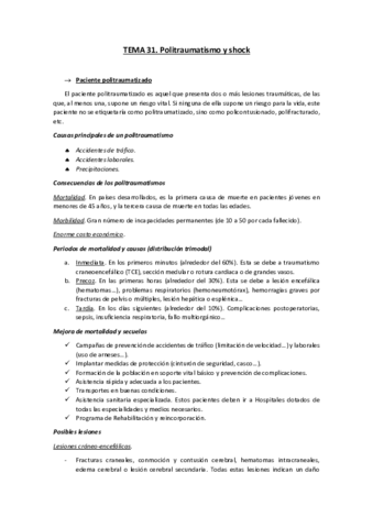 TEMA-31.pdf