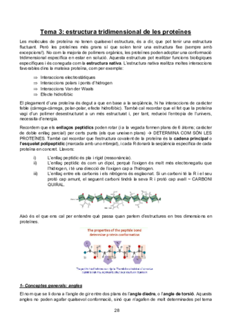 EFB-tema-3-Estructura-tridimensional-de-les-proteines.pdf