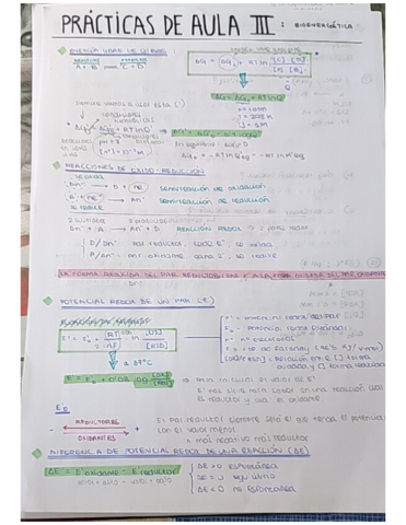 EJERCICIOS-RESUELTOS.-Practicas-aula-III.pdf