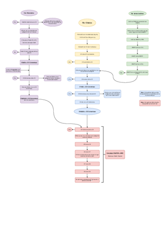 Vias-del-complemento.pdf