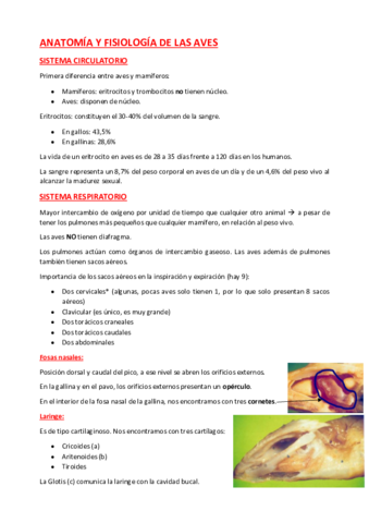 ANATOMIA-Y-FISIOLOGIA-DE-LAS-AVES.pdf