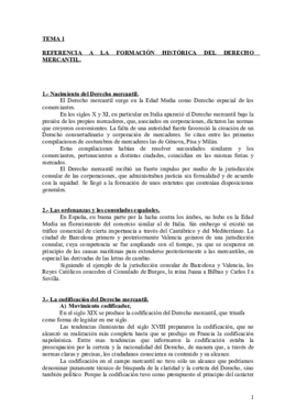 Resumen-Sanchez-Calero.pdf