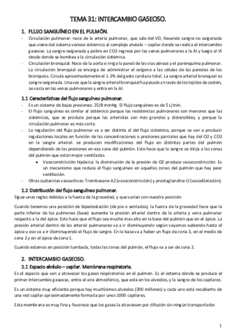 TEMA-31.pdf