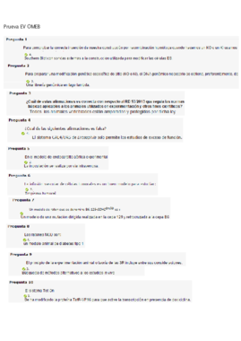 prueva EV.pdf
